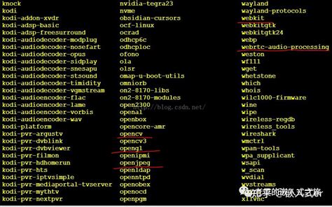 Buildroot 一招鲜，吃遍天~ 知乎