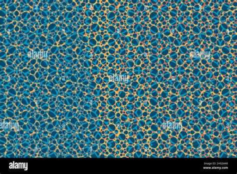 Gradient Dot Pattern Graphic Abstract Geometric Background For Print Design Wallpaper