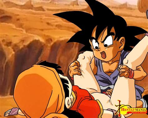 Post Dragon Ball Series Pan Son Goku