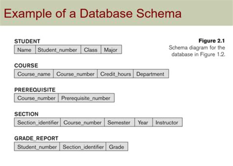 Chapter 2 Database System Concepts And Architecture Flashcards Quizlet