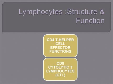 Lymphocytes Structure And Immunological Function Ppt