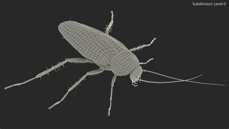 Red Flying Cockroach Rigged 3d Model 149 Max Free3d
