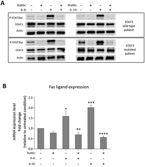 Stat3 Mutation Impacts Biological And Clinical Features Of T Lgl Leukemia Oncotarget