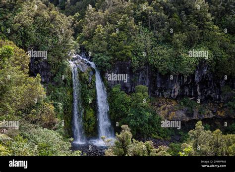 Dawson Falls Egmont National Park North Island New Zealand Stock