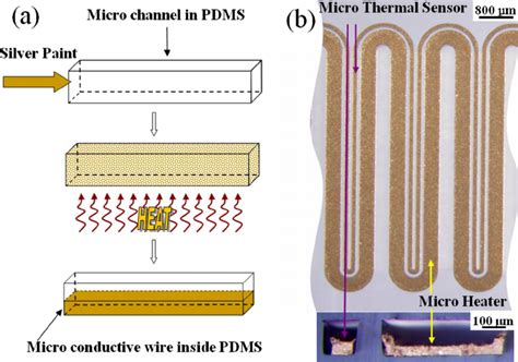 ͑ A ͒ Processing Flow Of Conductive Microwire Inside Pdms Using Molding Download Scientific