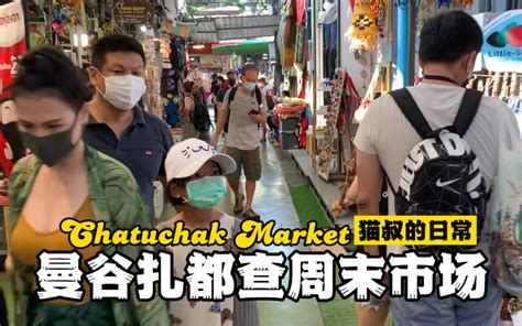 猫叔的日常：周六逛逛曼谷咋都查周末市场，看看现在人气有没有恢复。 曼谷猫叔james 曼谷猫叔james 哔哩哔哩视频