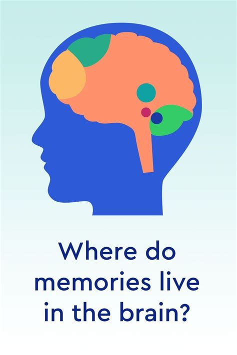 What Is Memory HappyNeuron Pro In Brain Memory Brain Book Types Of Memory
