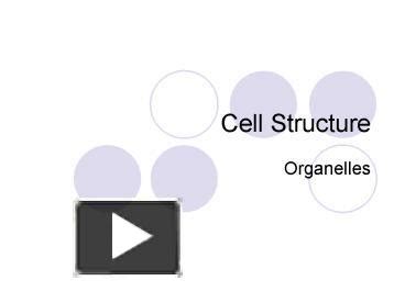 PPT Cell Structure PowerPoint Presentation Free To Download Id Aecd YTE M