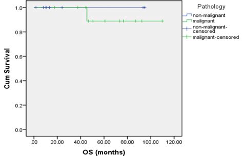Overall Survival Os By Pathology Download Scientific Diagram