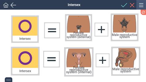 Intersex SECCA