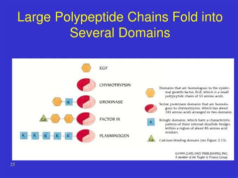 Ppt Protein Secondary Structure Powerpoint Presentation Free Download Id 3967911