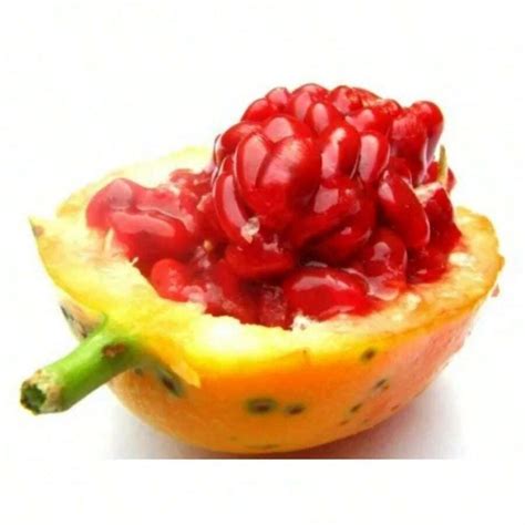 100pcs Red Sugar Passion Fruit Seeds Passiflora Caerulea Seeds Passion