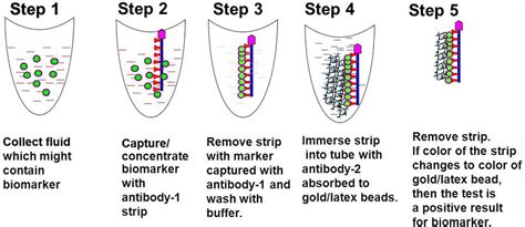 Point Of Care Biomarkerdiseasesymptom Detection Kit The Kit Consists Download Scientific