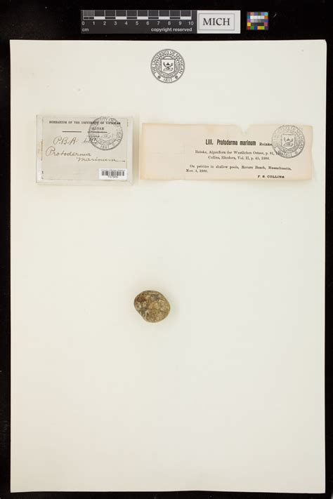 Algae Herbarium Portal Exsiccatae