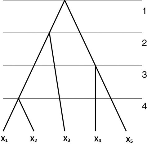 Ranked X Tree X X 1 X 2 X 3 X 4 X 5 The Numbers On The Download Scientific Diagram