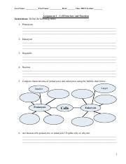CellStructure Function Pdf Last Name First Name Date Class BIO Section Assignment