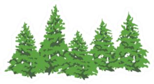 Pine Tree Stickers And Decals Outdoor Designs