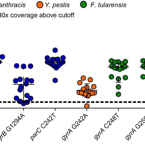 Molecular Inversion Probe Flow Chart Mips Are Single Stranded Download Scientific Diagram