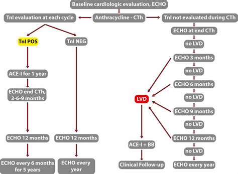 Algorithm For The Management Of Cardiotoxicity In Patients Receiving Download Scientific