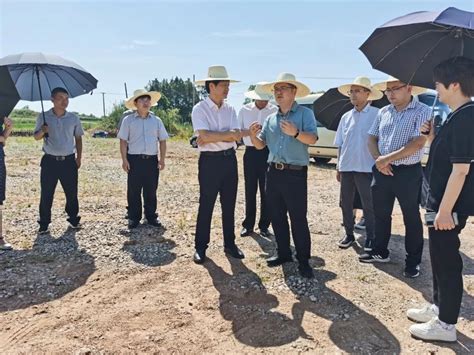 民盟衢州市委会开展“空心村”综合整治工作专项民主监督调研澎湃号·政务澎湃新闻 The Paper