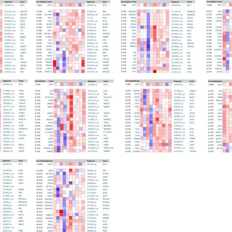 genes co‐expressed with ext1 the top 100 co‐expressed genes in lusc download scientific