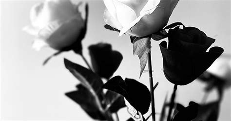 Imgur The Magic Of The Internet