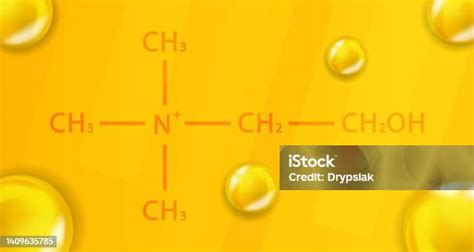 비타민 B4 화학 공식 비타민 B4 현실적인 화학 분자 구조 3차원 형태에 대한 스톡 벡터 아트 및 기타 이미지 3차원 형태 4 간 내부 기관 Istock