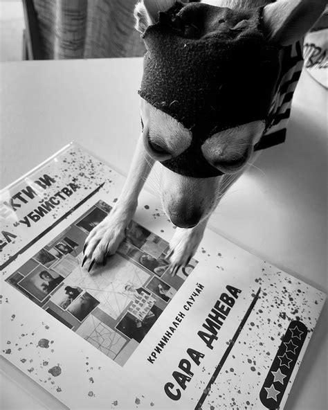 Един от нашите детективи 🐕 🥷🏿е готов с разрешаването на случая а ти до къде стигна 🫵 Ако все