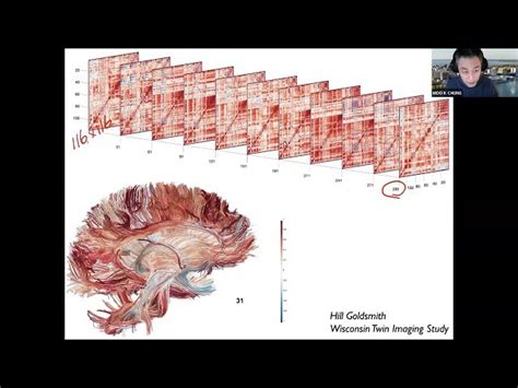 free video topological learning and its application to multimodal