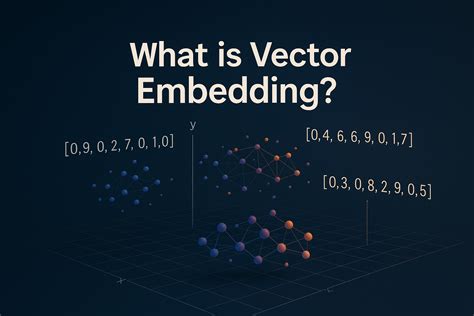 What Is Vector Embedding Complete Guide Real Examples