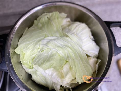 양배추찜 양배추쌈 간장 양념장 레시피 냄비에 양배추 삶는법 양배추 삶는시간