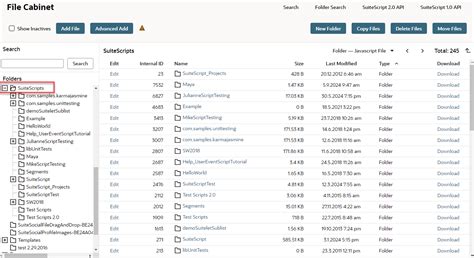 Netsuite Applications Suite Setting Up Your Suitescript Development Environment