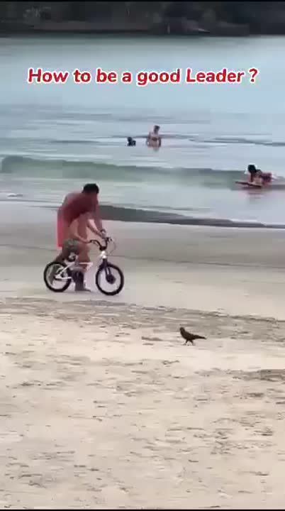 Navneet Tiwari On Linkedin Leadership Empowerment Growth Success Teamwork