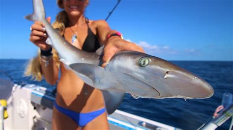 Were Back Florida Offshore Fishing Youtube