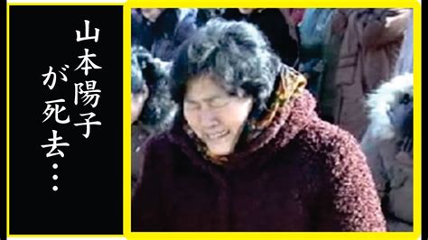 山本陽子、悲劇から1年後の現状 Alphatimes