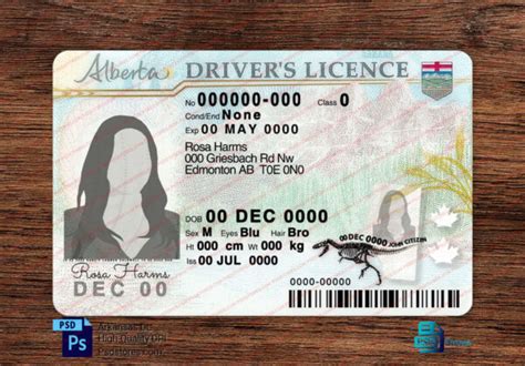 Alberta Driver License Template Psd Stores