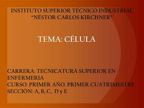 Célula Enfermería Udocz