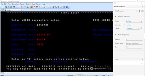Step By Step Guide To Use Mainframe Application To Extract The Access Details
