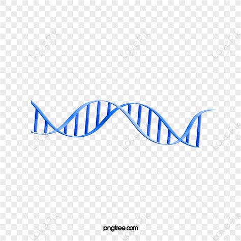 파란색 Computerdna염색체생물 Png 일러스트 무료 다운로드 Lovepik