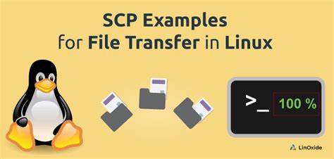 Cómo Usar El Comando Scp Para Transferir Archivos Conpilares