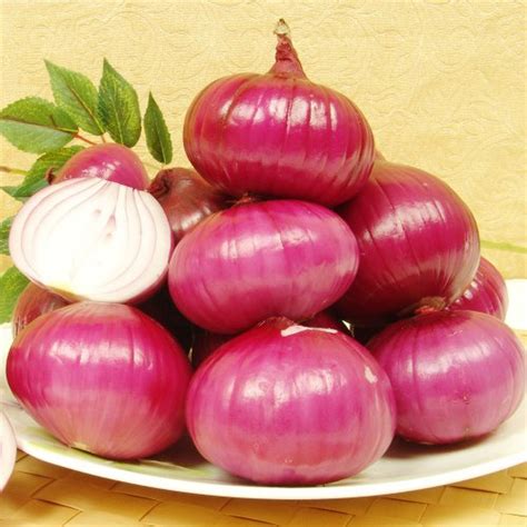 22년산 선별배송 자색 양파 5kg100g 이상 신세계적 쇼핑포털 Ssgcom 22년산 선별배송 자색 양파 5kg100g 이상 신세계적 쇼핑포털 Ssgcom