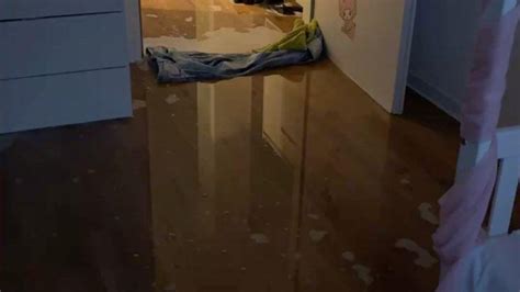 Give A Hand Help Crissy Rebuild Her Flooded Home By Crissy Samon