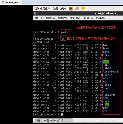 Linux相对路径与绝对路径用相对路径和绝对路径的方法从主目录进入子目录 Csdn博客