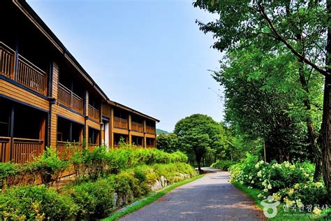 상당산성 자연휴양림 관광 정보와 주변 관광 명소 및 근처 맛집 여행 정보 상당산성 자연휴양림 관광 정보와 주변 관광 명소 및 근처 맛집 여행 정보