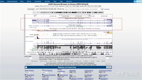 仙桃学术 泛癌sci套路彻底用废一个基因让别人无路可走 知乎