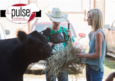 Heifers Takin Over Huron South Dakota State Fair The Pulse