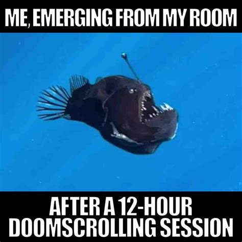 5 Deep Sea Black Devil Anglerfish Memes Funny But Scary