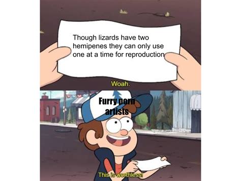 Lizard Biology Lesson Rfurrymemes