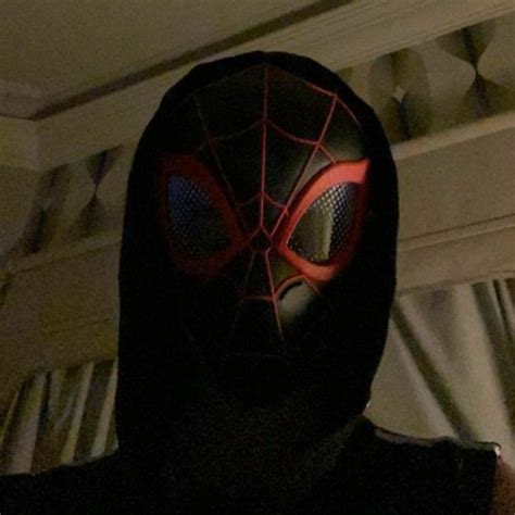 Spider Pfp By Fluffyc