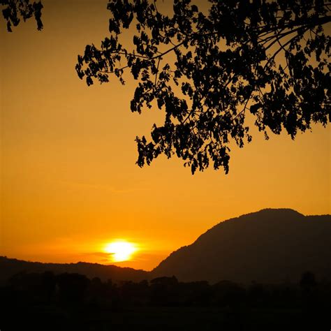 Jajati Mohapatra Jajatimohapatra • Instagram Photos And Videos